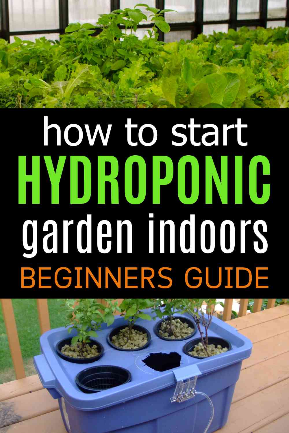 How to Start a Hydroponic Garden for Beginners? | Vegetable GardenerX